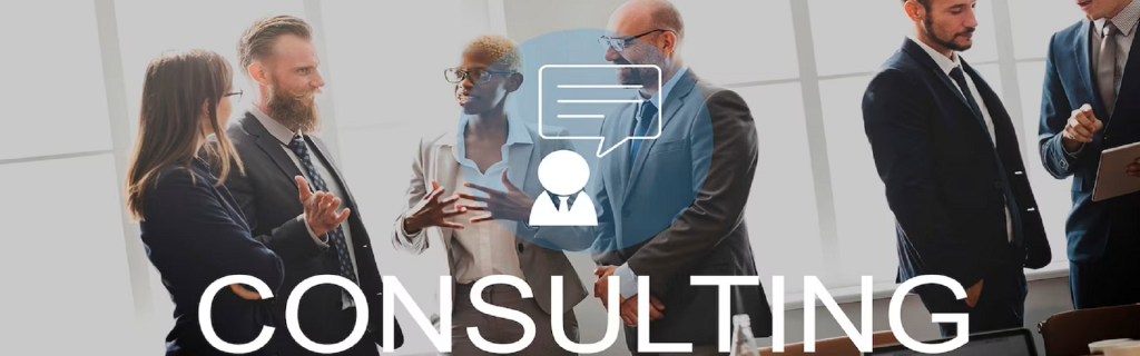 Information Technology Consulting - JC Bhalla & Company | Tax ...